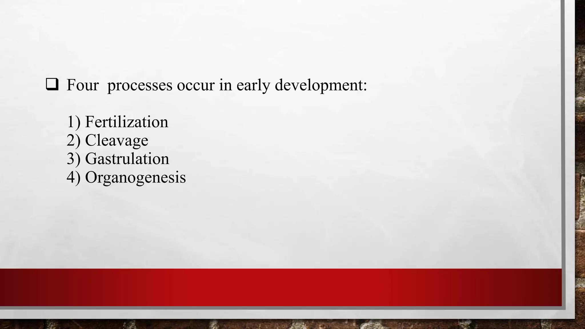 Early Vertebrate development | PPTX