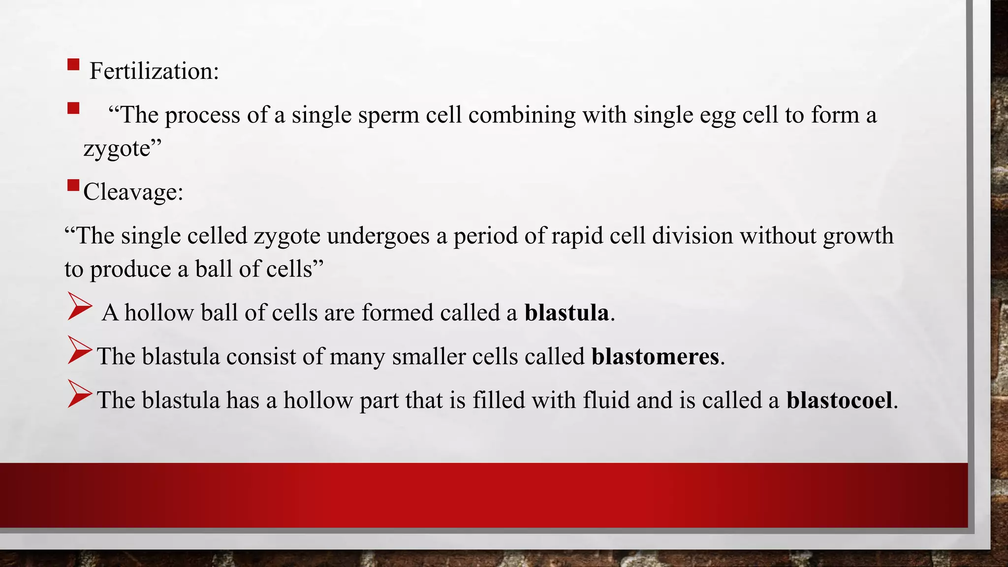 Early Vertebrate development | PPTX