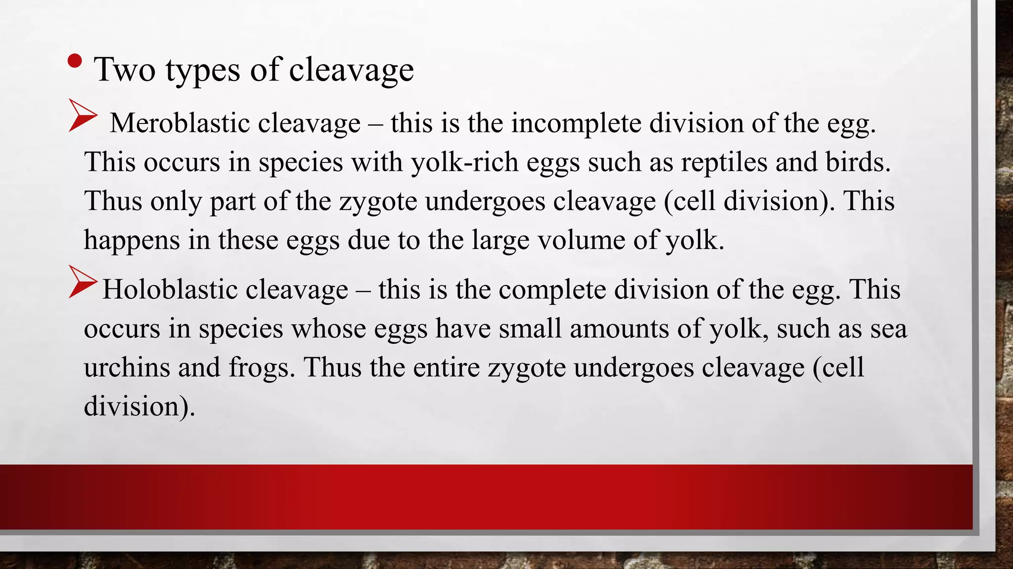 Early Vertebrate development | PPTX