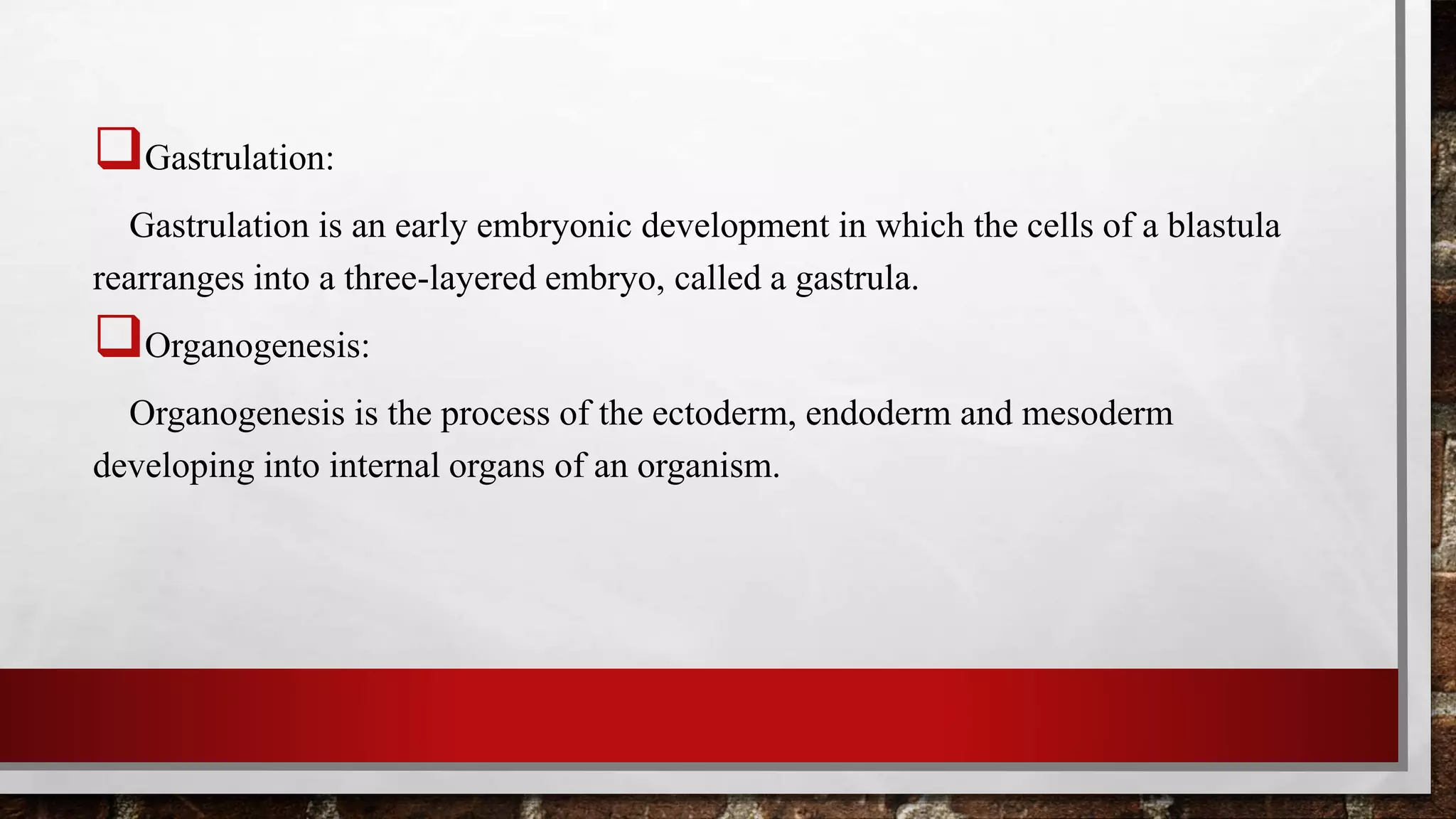 Early Vertebrate development | PPTX
