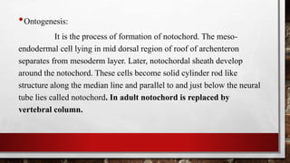 Early Vertebrate development | PPTX