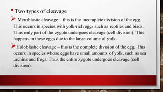 Early Vertebrate development | PPTX