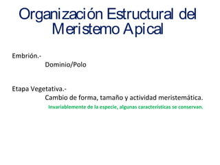 Biología del Desarrollo Vegetal | PPT