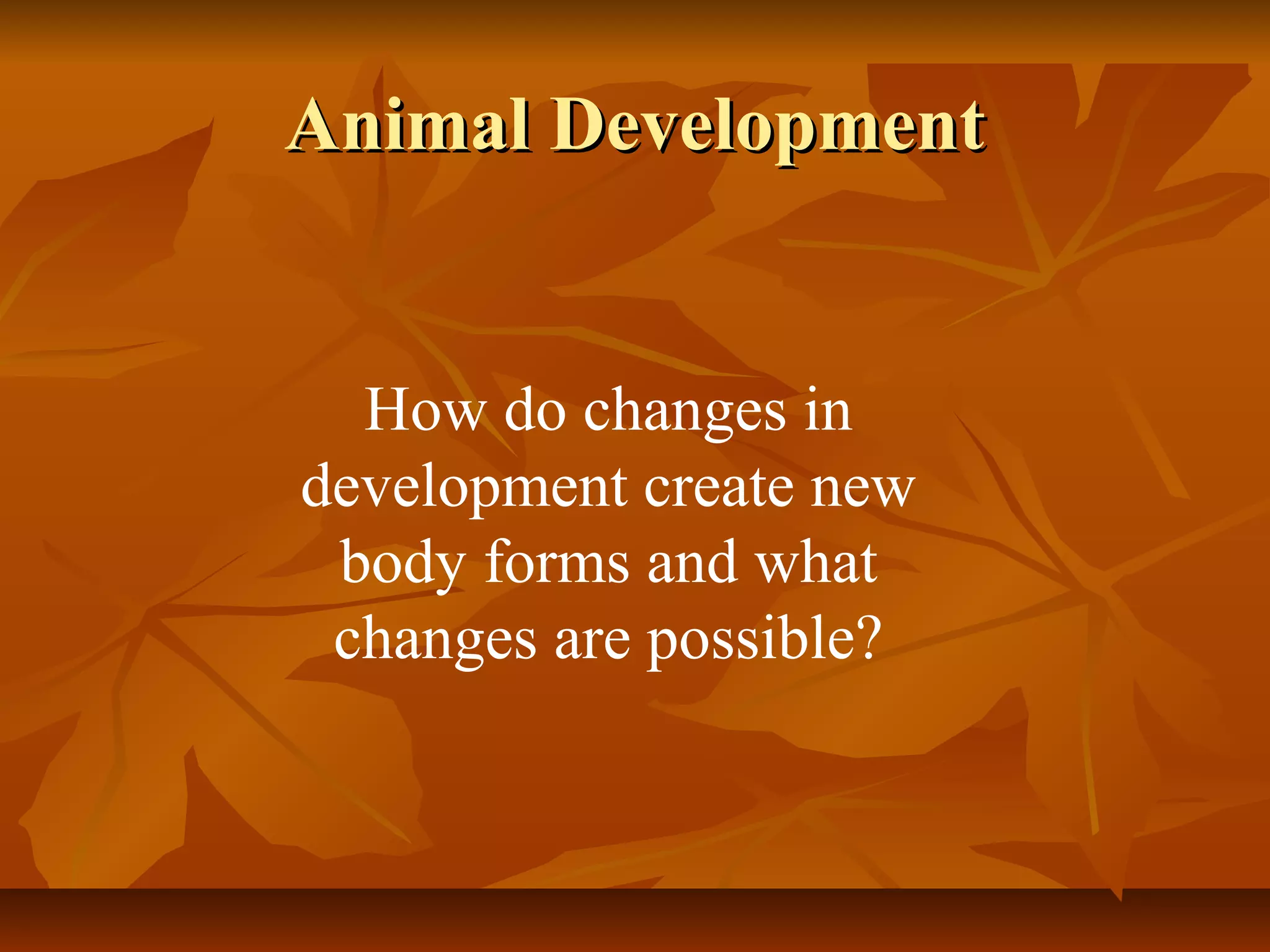 Developmental biology | PPT