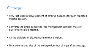 Developmental biology | PPTX