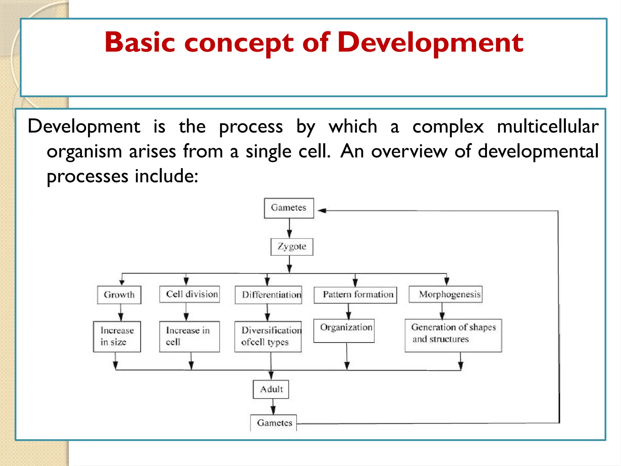 general description regarding Developmental Biology | PPTX