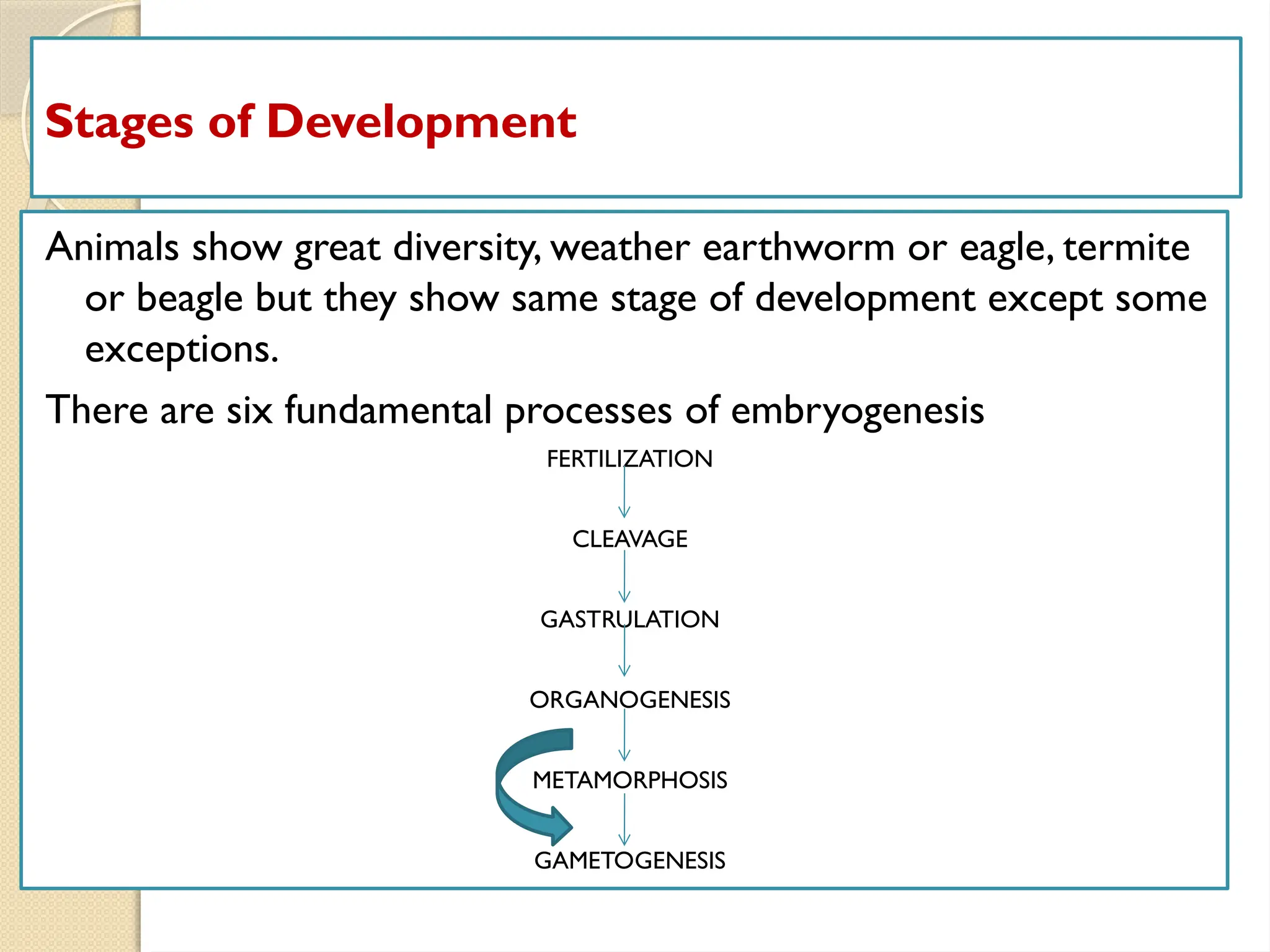 general description regarding Developmental Biology | PPTX