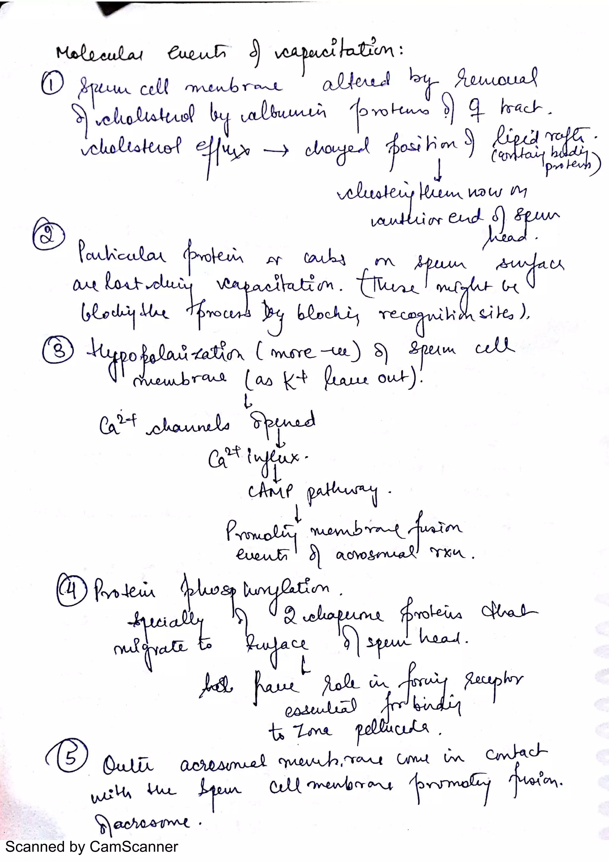 Developmental biology notes-Zoology, third year, Delhi University | PDF
