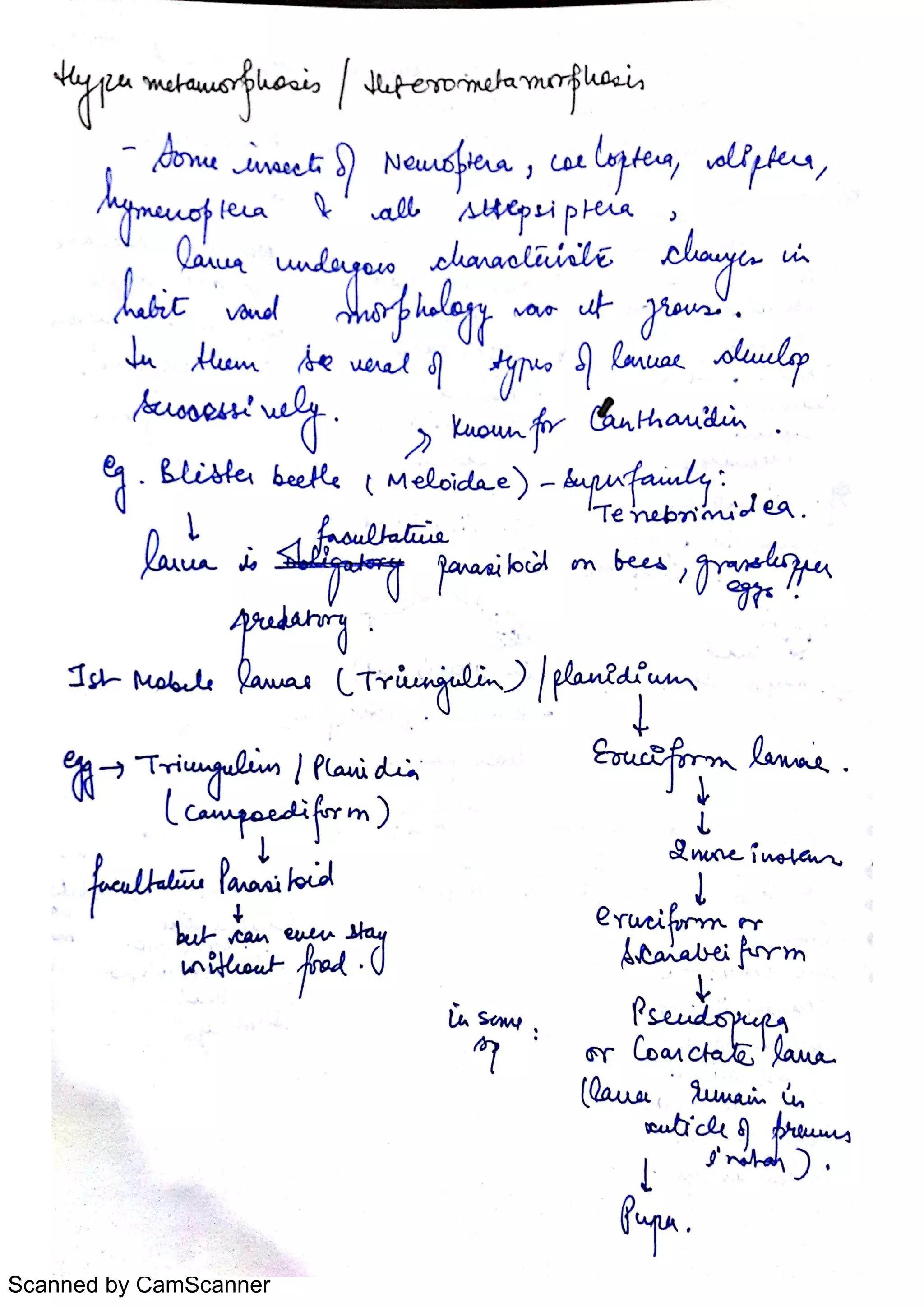 Developmental biology notes-Zoology, third year, Delhi University | PDF