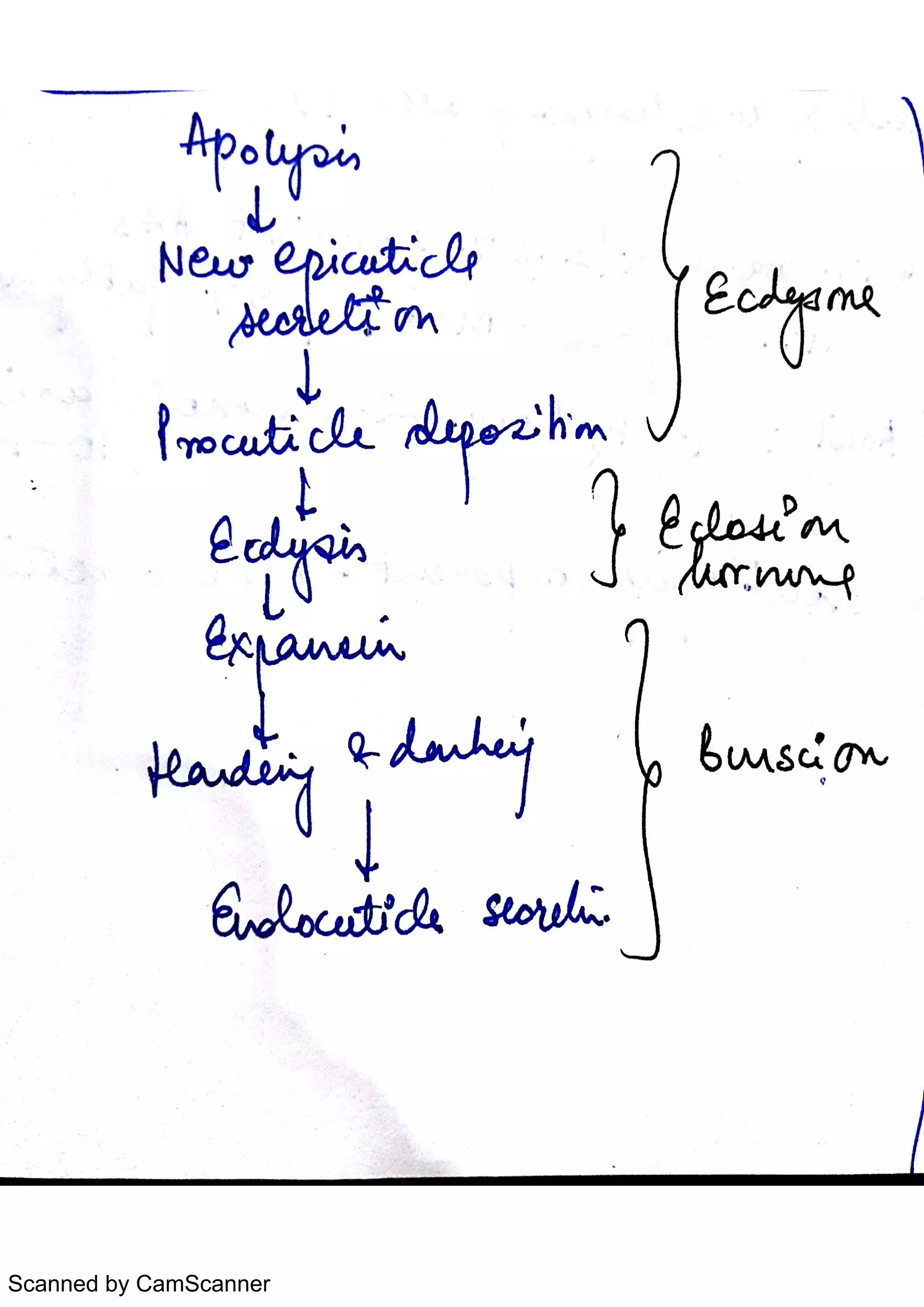 Developmental biology notes-Zoology, third year, Delhi University | PDF