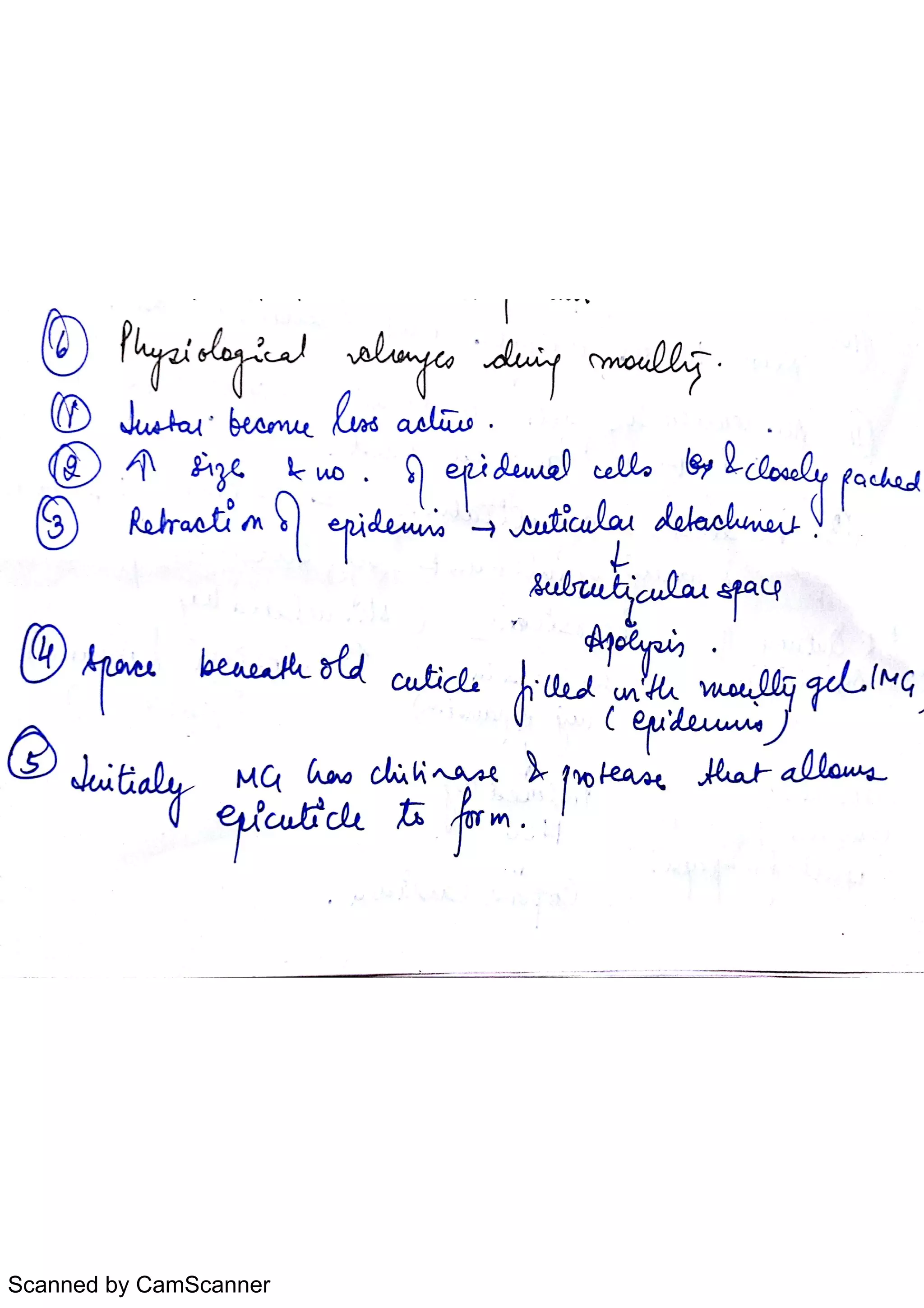 Developmental biology notes-Zoology, third year, Delhi University | PDF