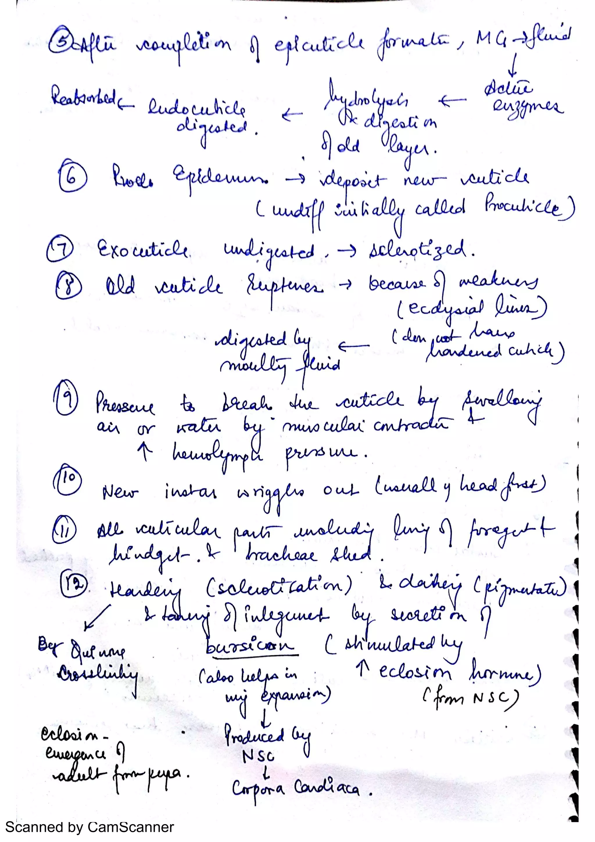 Developmental biology notes-Zoology, third year, Delhi University | PDF