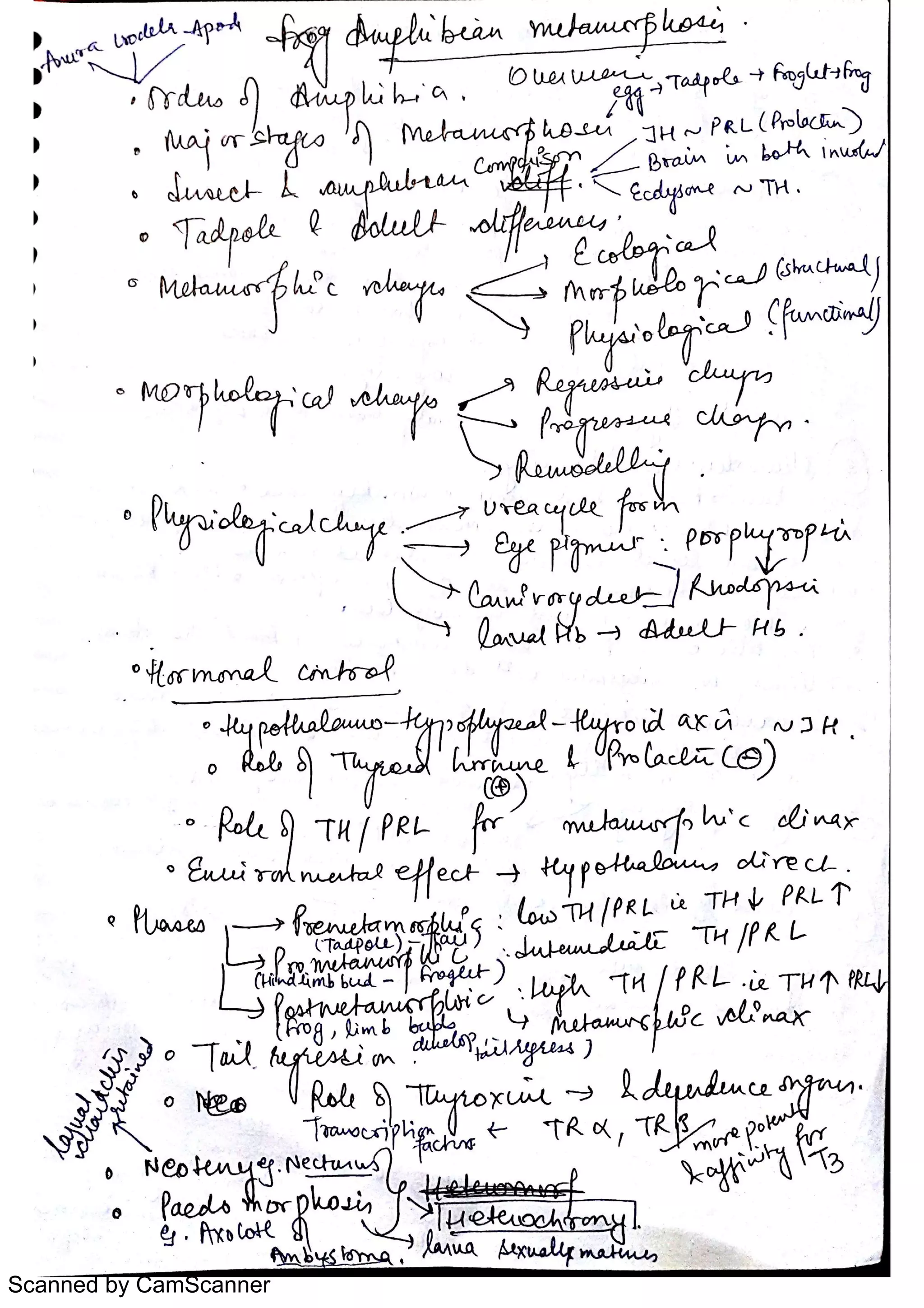 Developmental biology notes-Zoology, third year, Delhi University | PDF