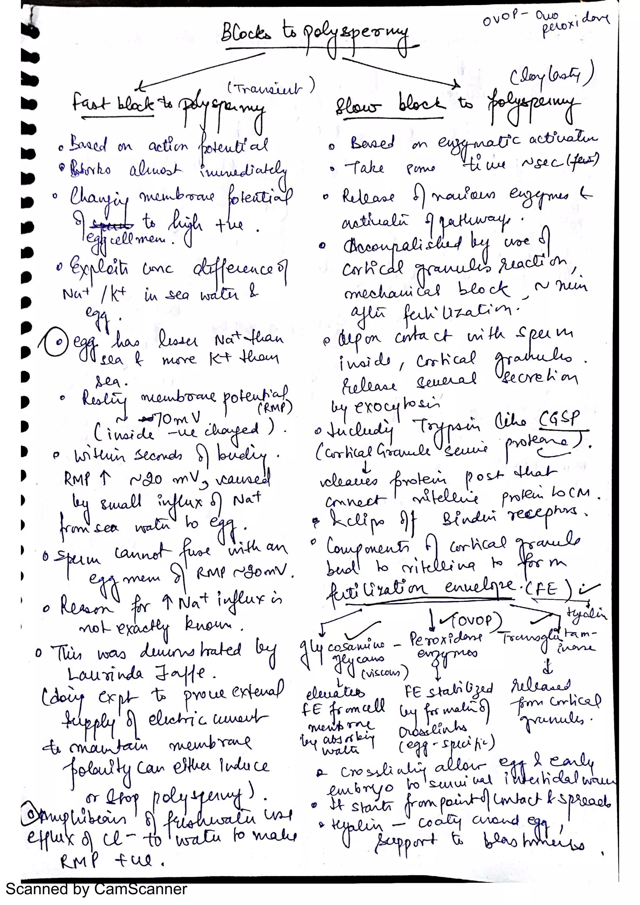 Developmental biology notes-Zoology, third year, Delhi University | PDF