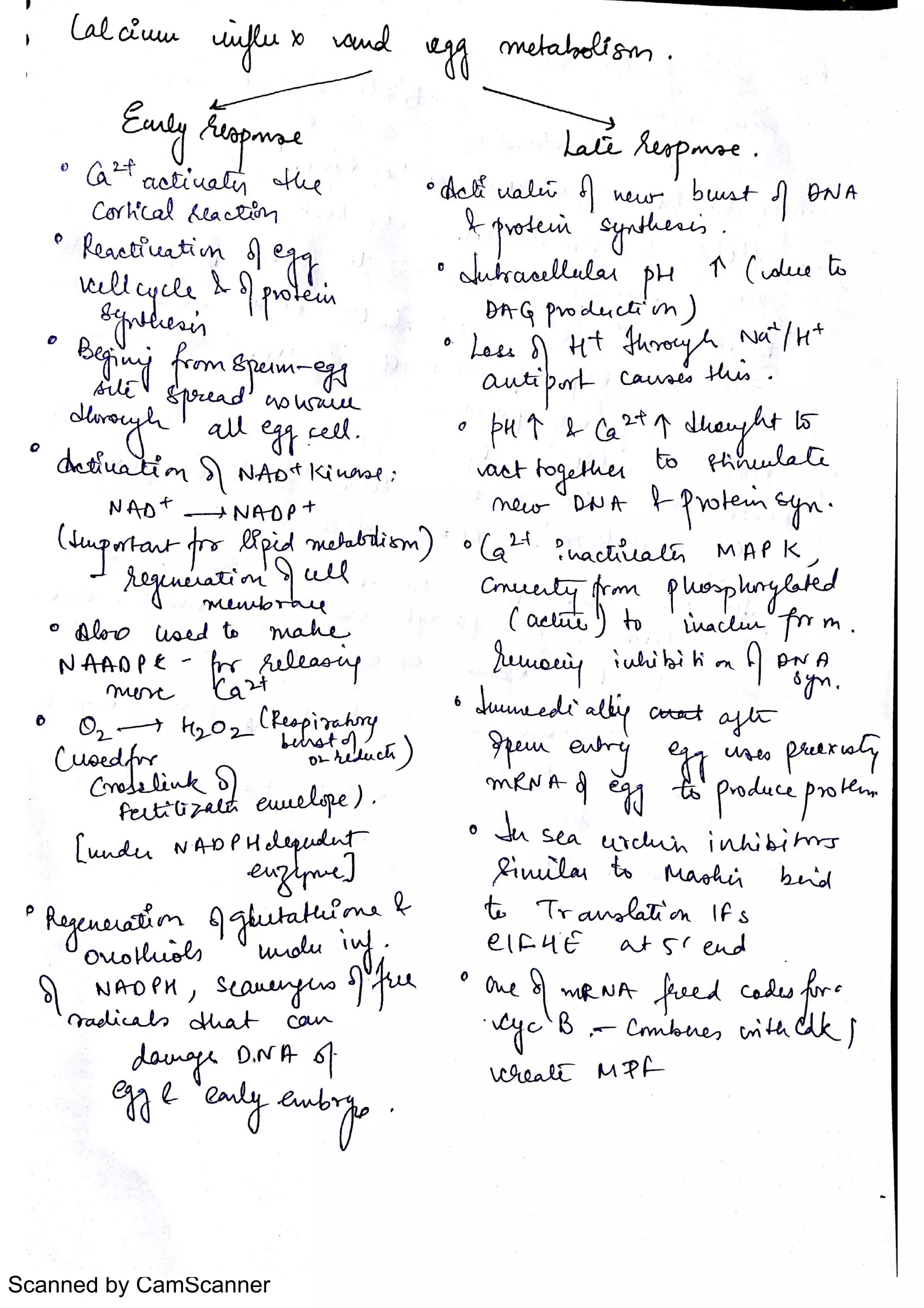 Developmental biology notes-Zoology, third year, Delhi University | PDF