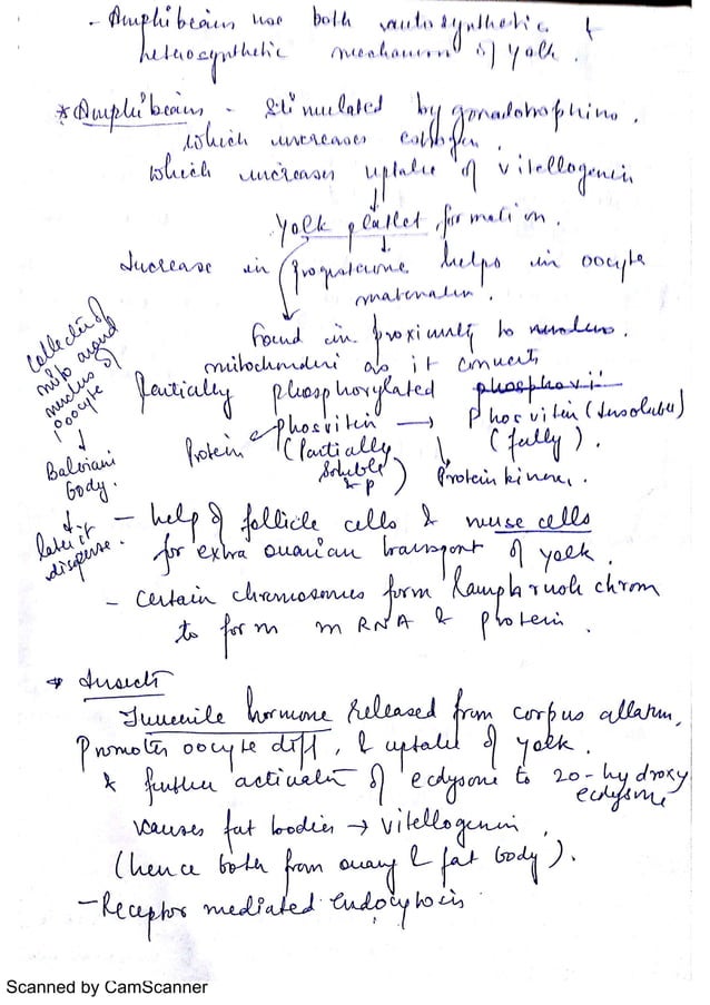Developmental biology notes-Zoology, third year, Delhi University | PDF