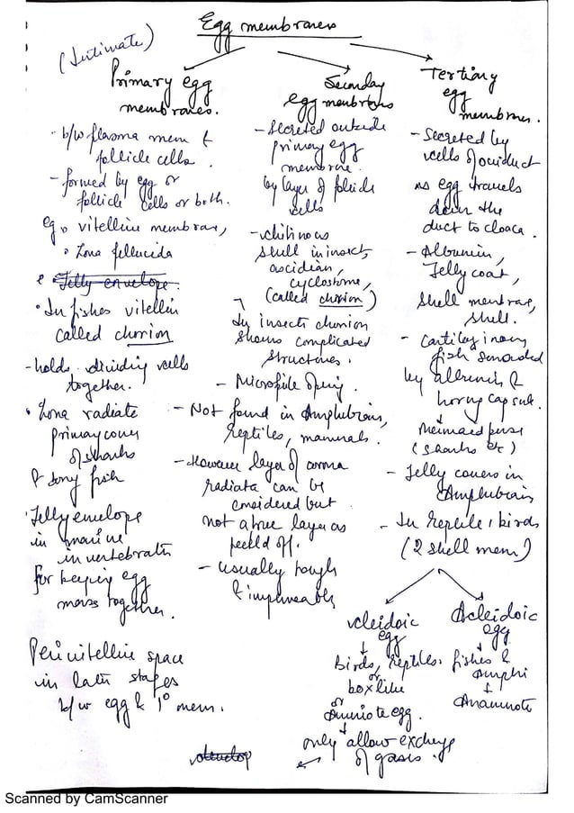 Developmental biology notes-Zoology, third year, Delhi University | PDF