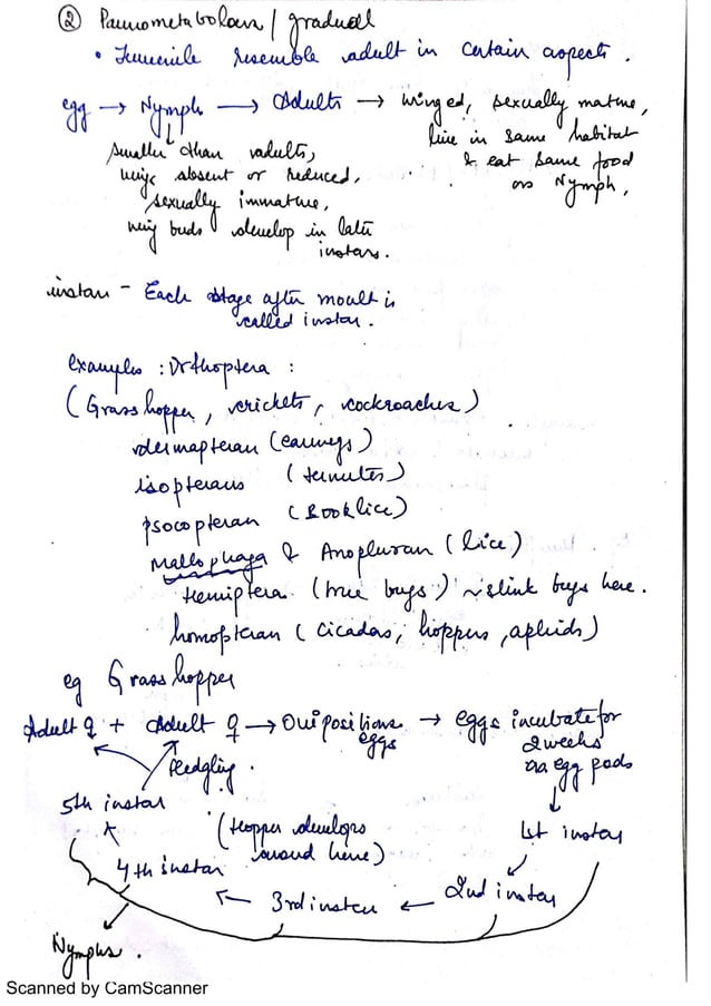 Developmental biology notes-Zoology, third year, Delhi University | PDF