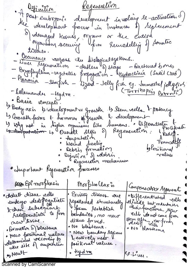 Developmental biology notes-Zoology, third year, Delhi University | PDF