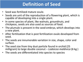 seed develop ment | PPTX | Gardening | Home & Garden