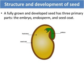 seed develop ment | PPTX | Gardening | Home & Garden