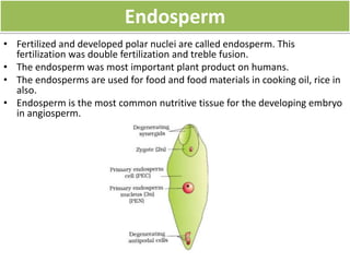 seed develop ment | PPTX | Gardening | Home & Garden