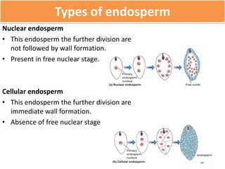 seed develop ment | PPTX | Gardening | Home & Garden
