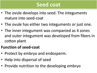 seed develop ment | PPTX | Gardening | Home & Garden