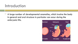 DEVELOPMENTAL DEFECTS AND MANAGEMENT IN PEDIATRIC DENTISTRY.pptx
