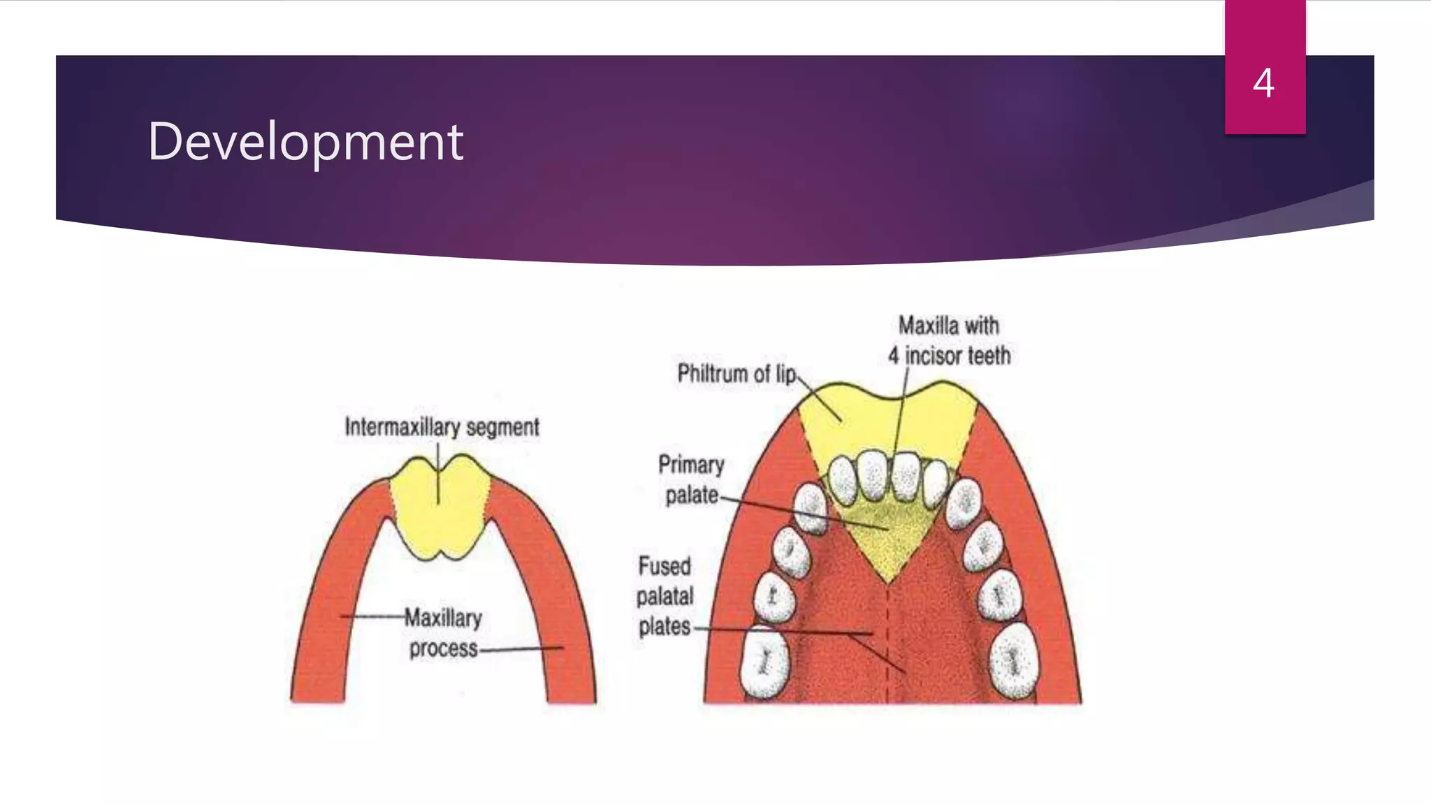 Developmental defects of oral & maxillofacial region | PPTX