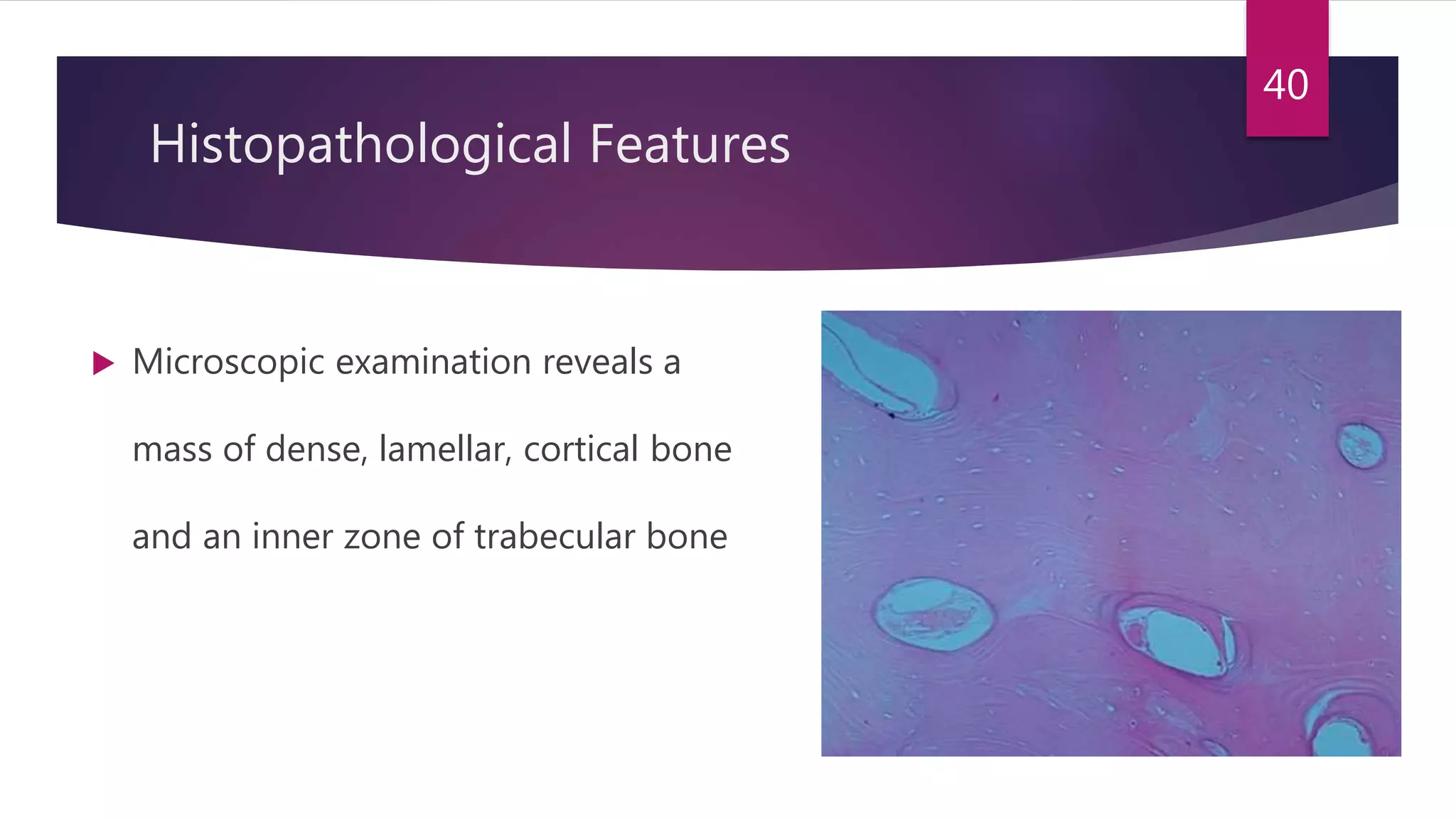 Developmental defects of oral & maxillofacial region | PPTX