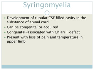 Developmental disease of spinal cord | PPTX