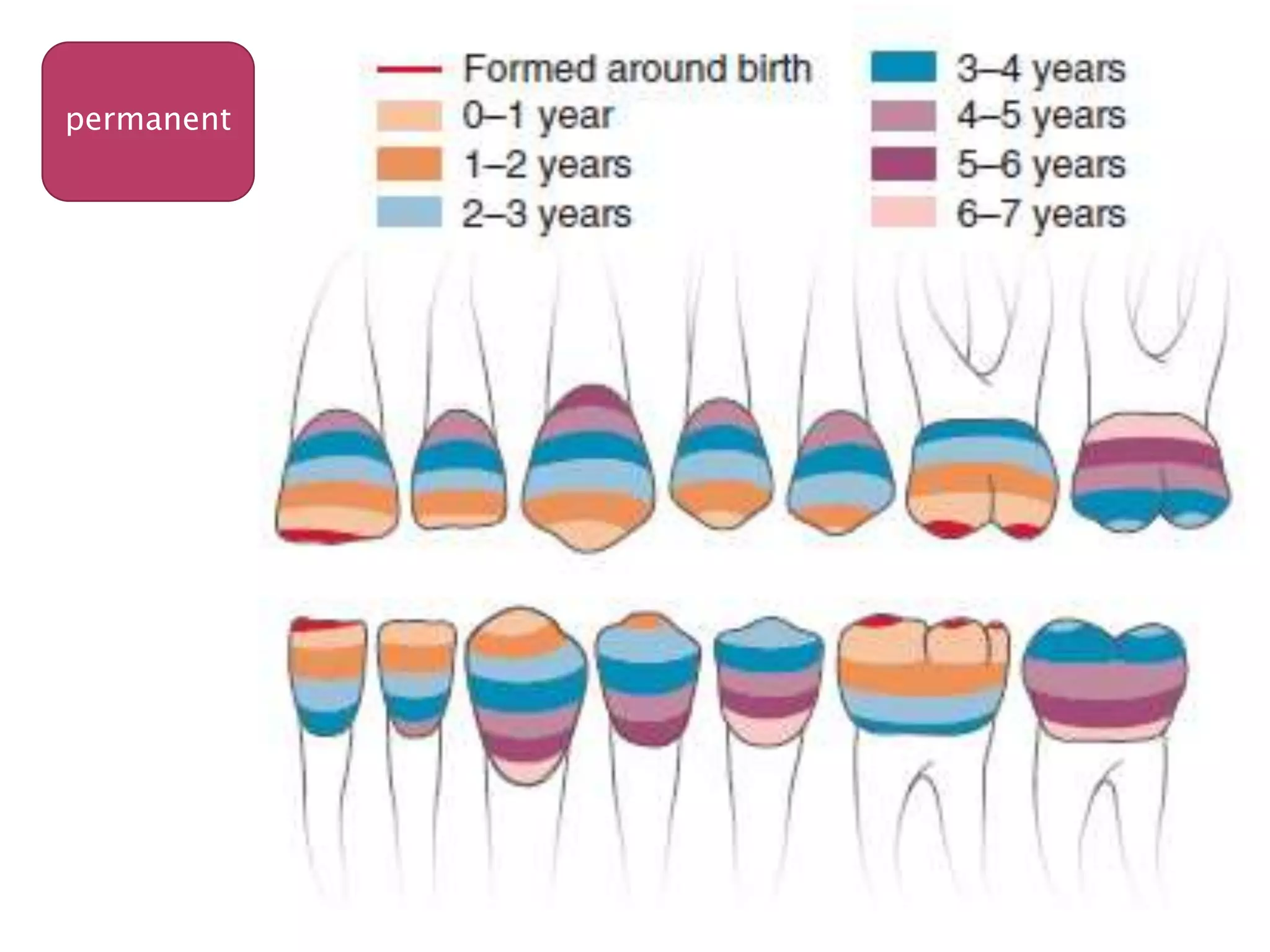 Developmental disturbances of tooth structure | PDF