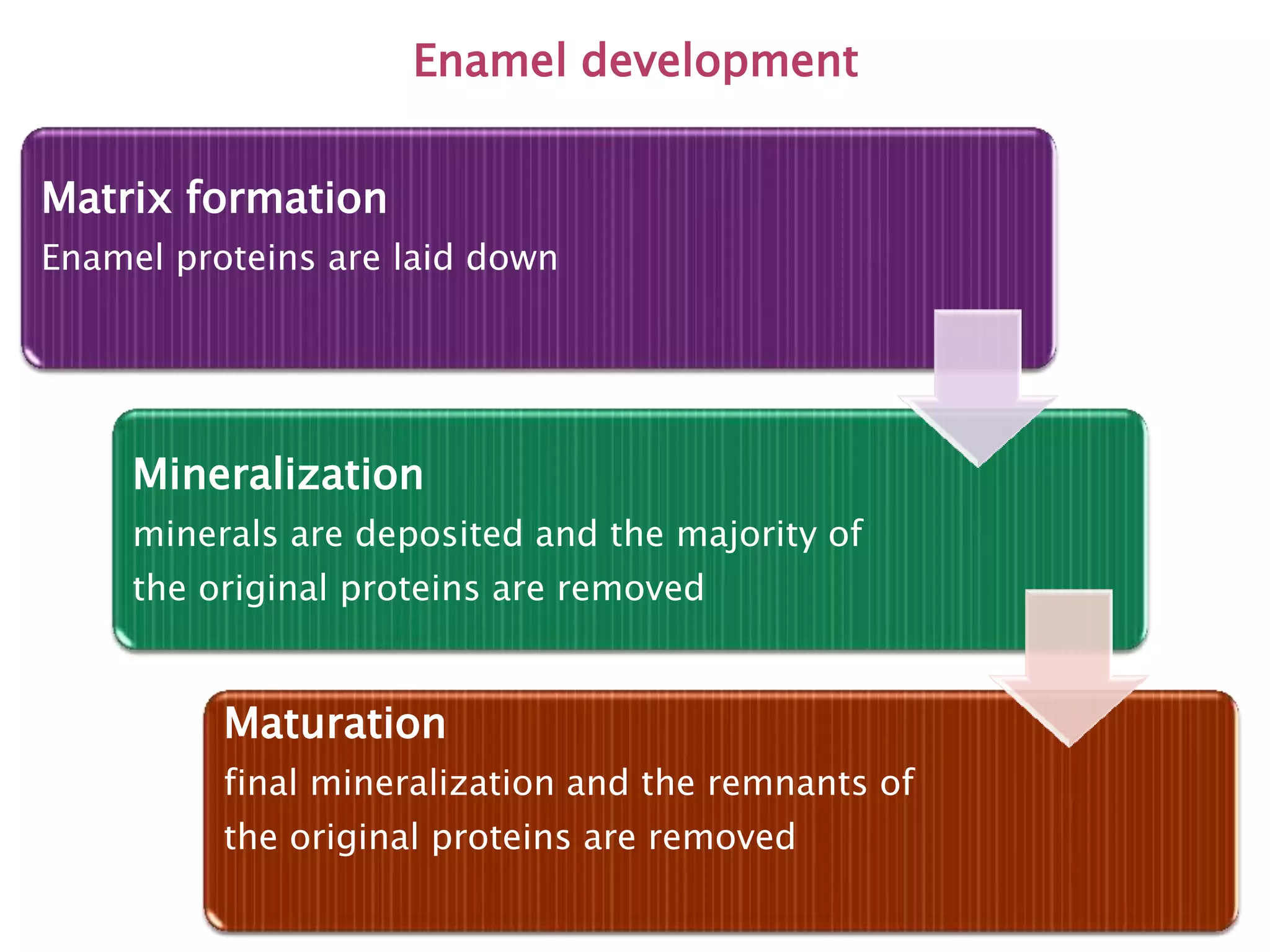 Developmental disturbances of tooth structure | PDF