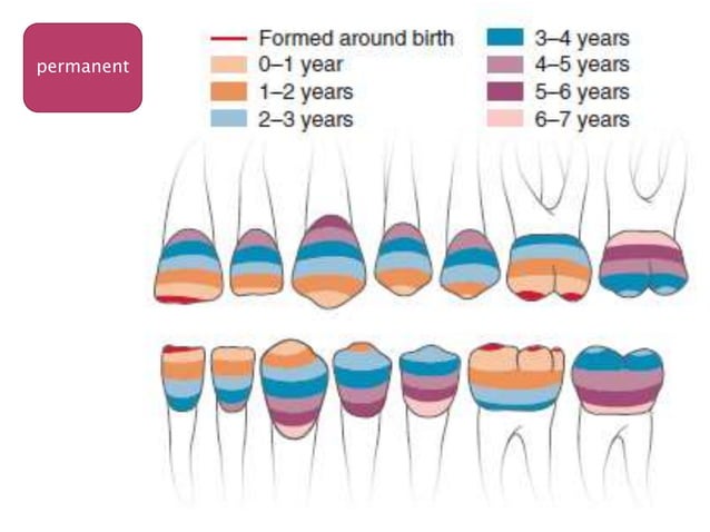 Developmental disturbances of tooth structure | PDF