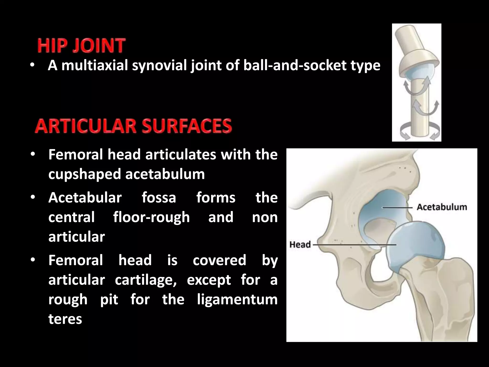 Developmental dysplasia of hip | PPTX