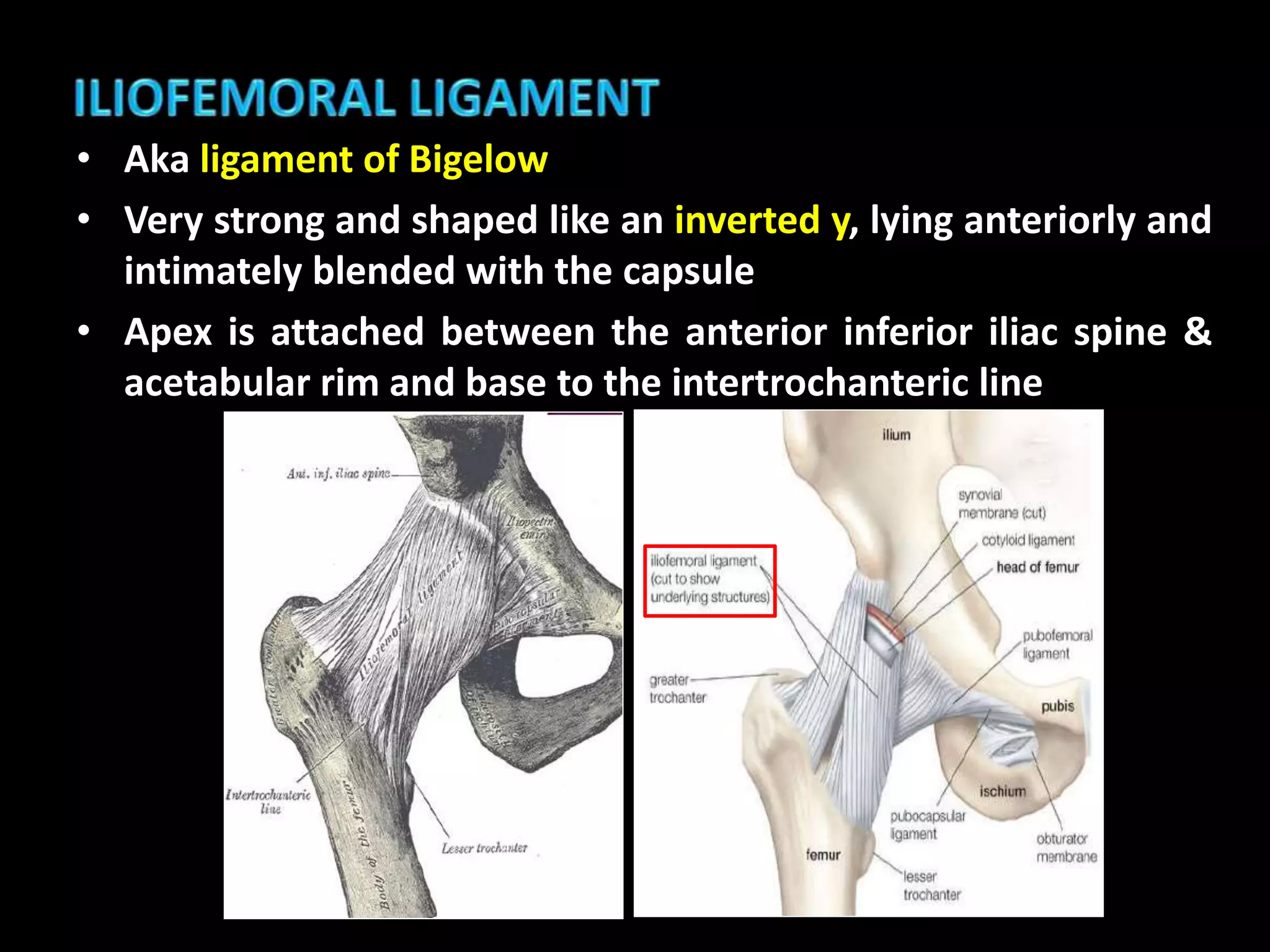 Developmental dysplasia of hip | PPTX