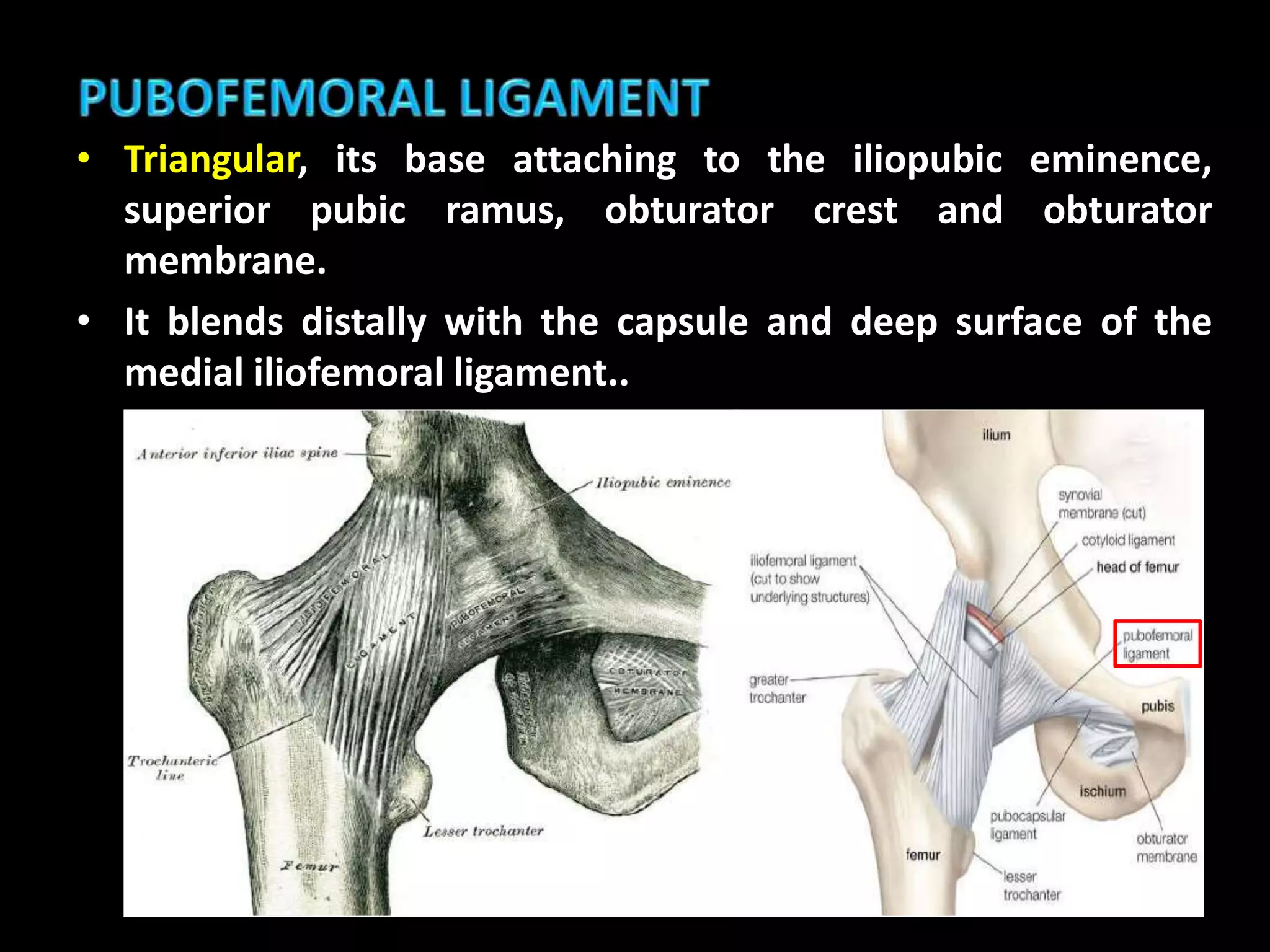 Developmental dysplasia of hip | PPTX