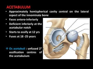 Developmental dysplasia of hip | PPTX
