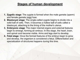 Developmental genetics(fertilization and gametogenesis) | PPT