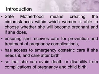 Developmental Milestone in Safe Motherhood Service in Nepal.pptx