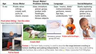 Developmental Milestones.pdf
