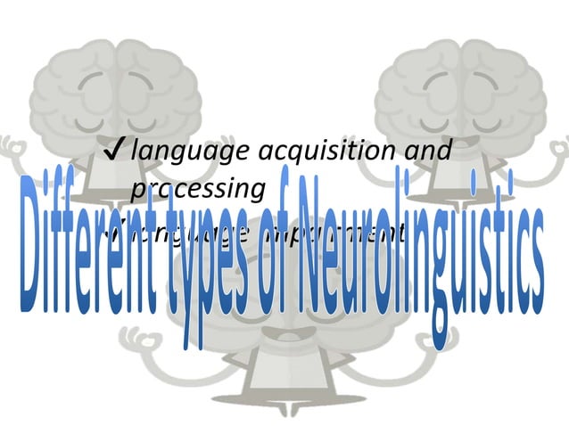 developmental neurolinguistics.pptx