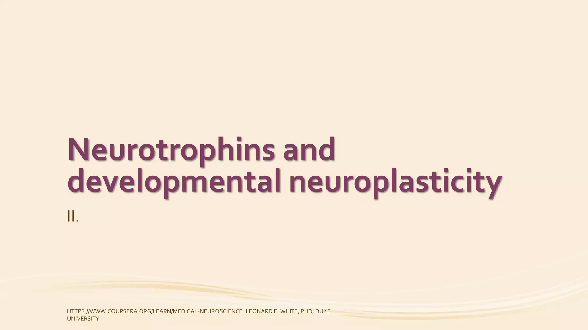 Developmental neuroplasticity | PPT
