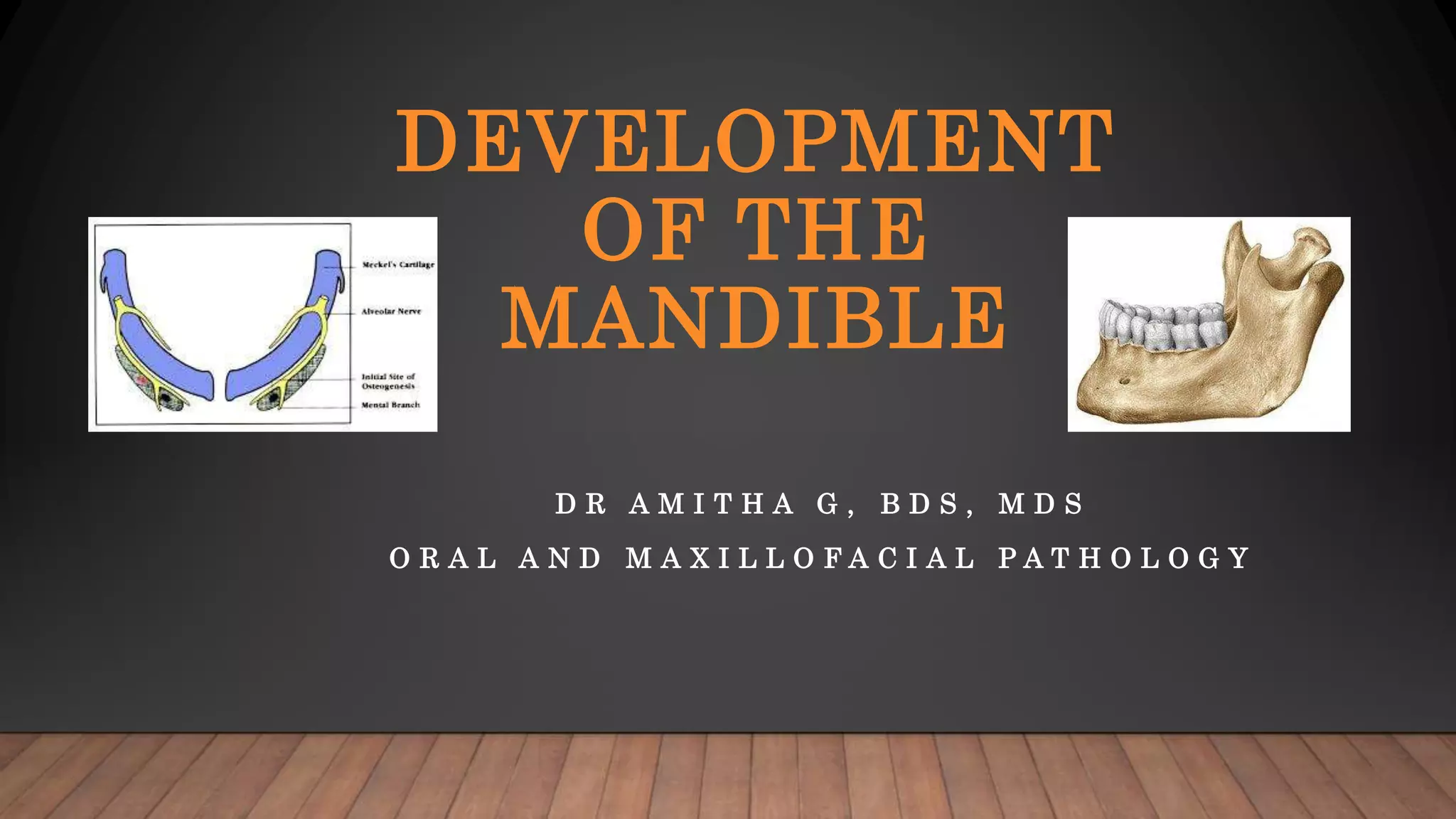Developmental Of The Mandible | PPTX | Bone and Joint Conditions ...