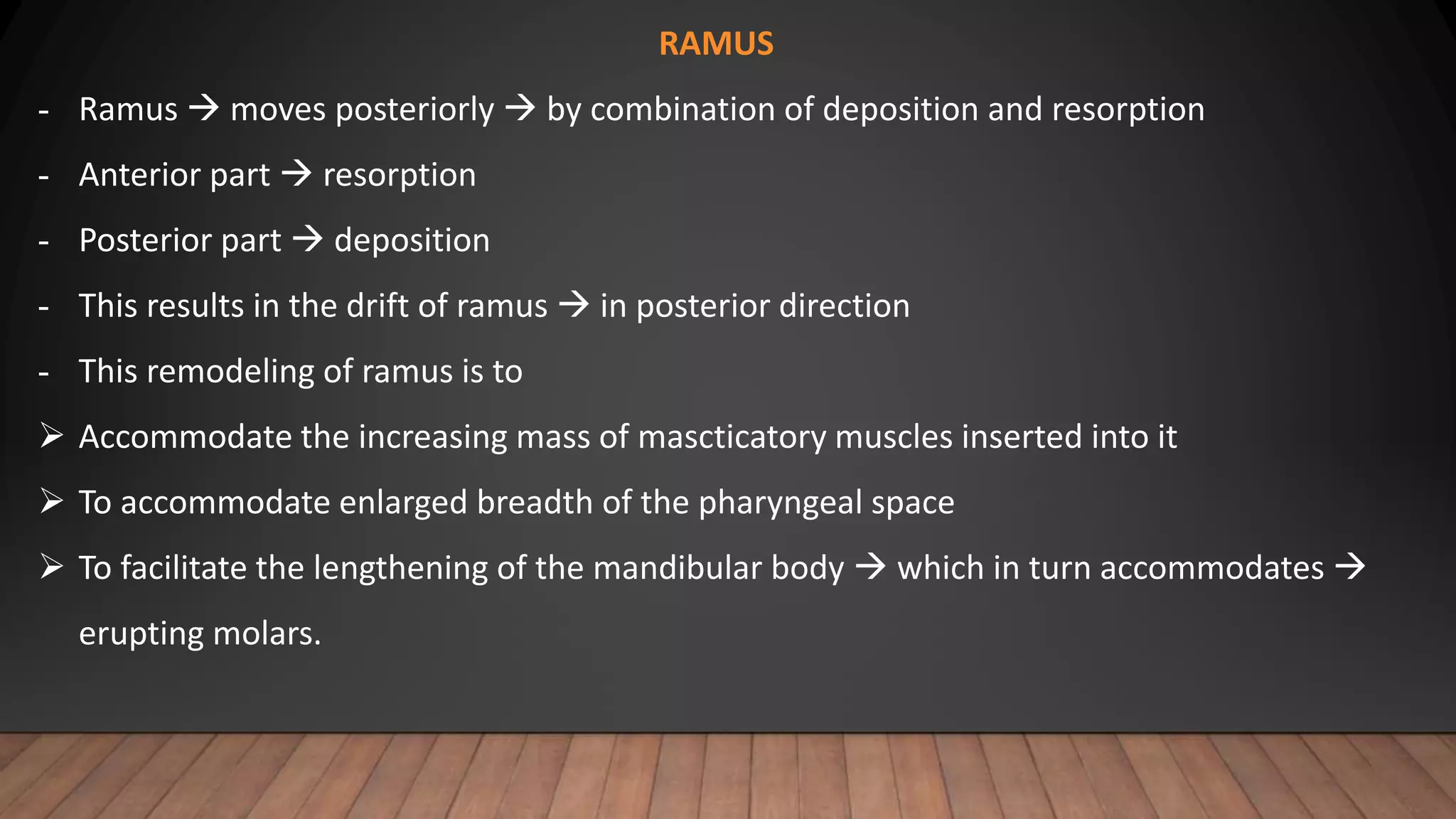 Developmental Of The Mandible | PPTX