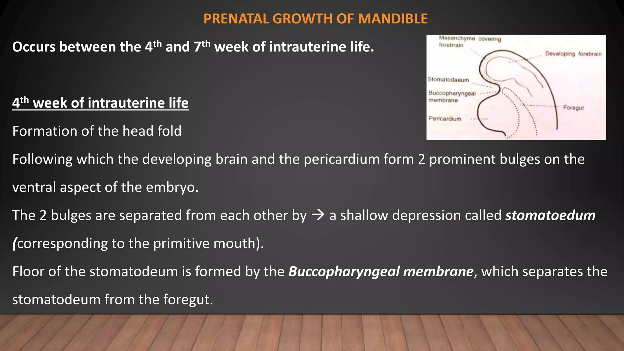 Developmental Of The Mandible | PPTX | Bone and Joint Conditions ...