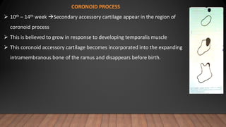 Developmental Of The Mandible | PPTX | Bone and Joint Conditions ...