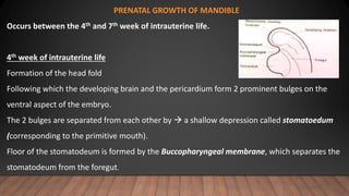 Developmental Of The Mandible | PPTX | Bone and Joint Conditions ...
