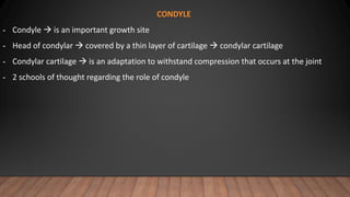 Developmental Of The Mandible | PPTX | Bone and Joint Conditions ...
